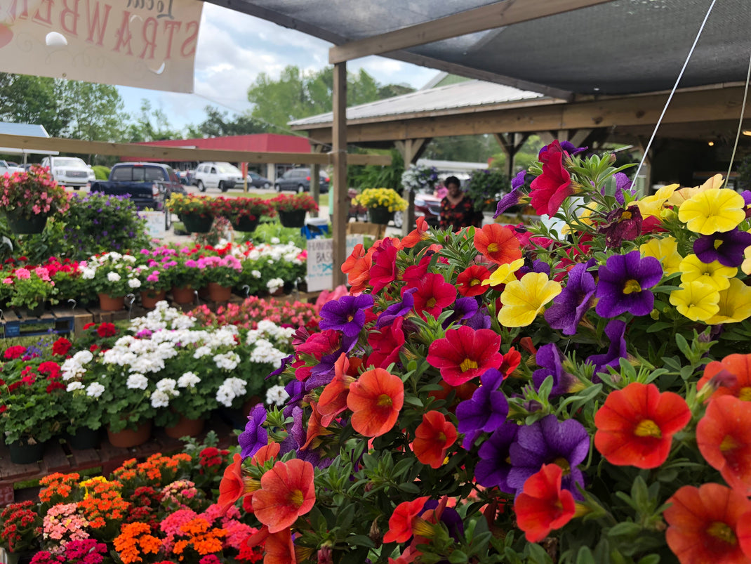 Biggers Home – Biggers Market